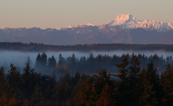 Blog | BOLDplanning Inc.